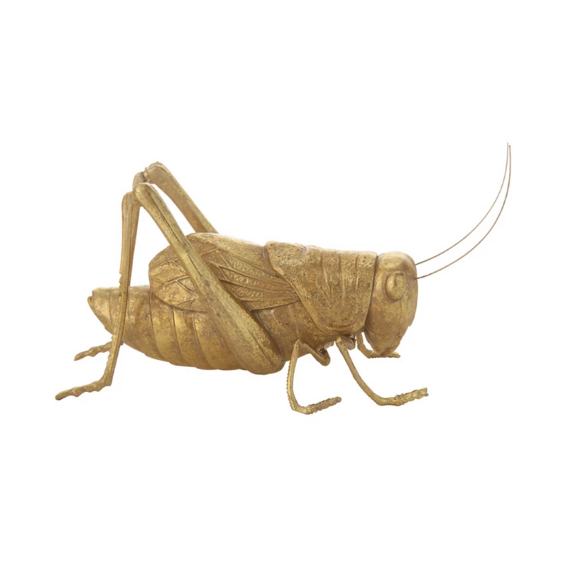 Golden Cricket – Becket Hitch
